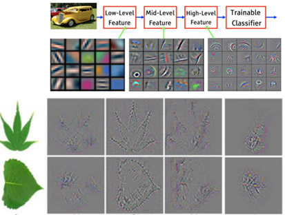 How Convolutional Neural Network Extract Features? - Ethiop Site